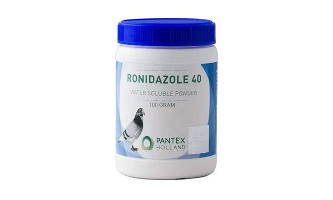 Ronidazole 40 – zoofarm